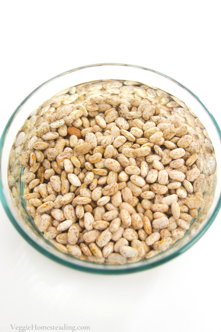 Smoky Ranch Style Beans Recipe - Easy, Flavorful, and Vegetarian ...