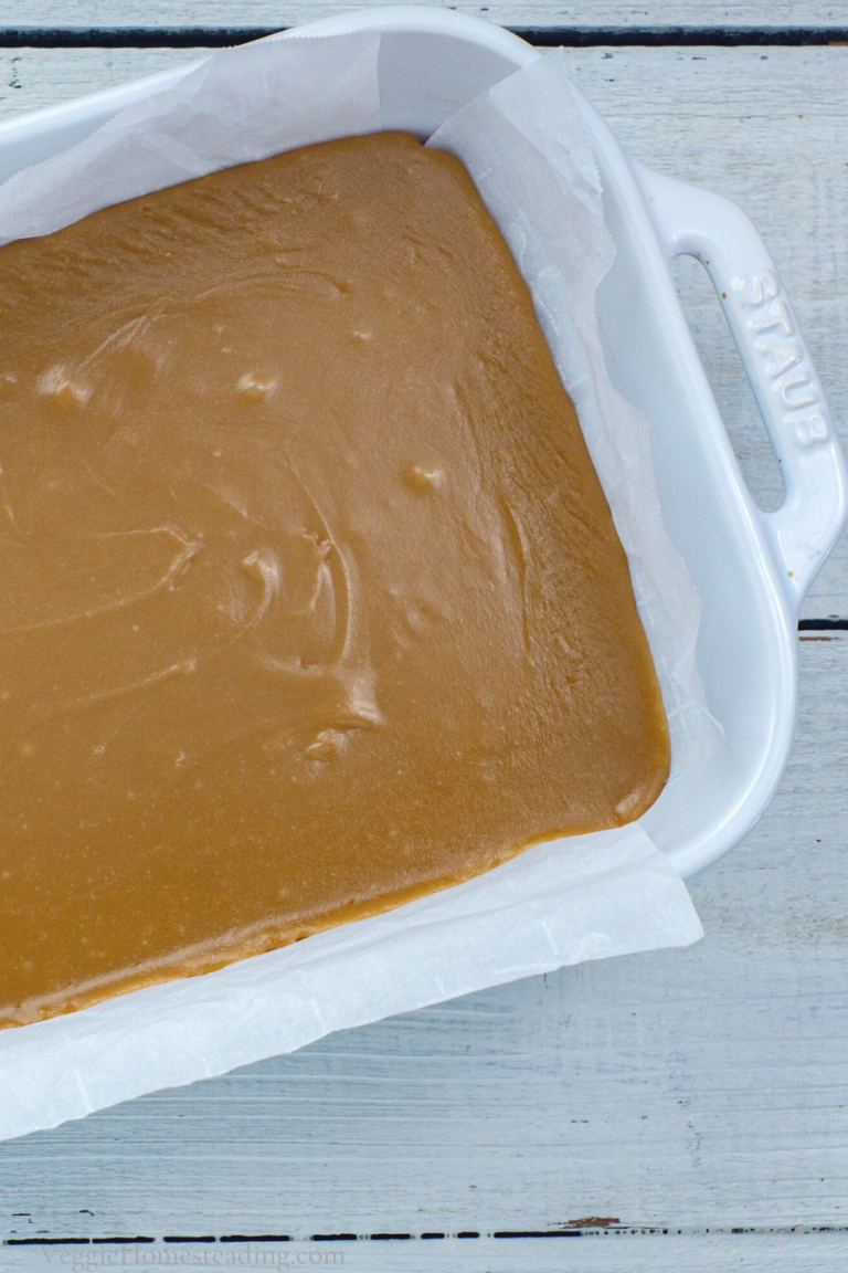 Easy Brown Sugar Fudge - Veggie Homesteading Easy Brown Sugar Fudge - Veggie Homesteading