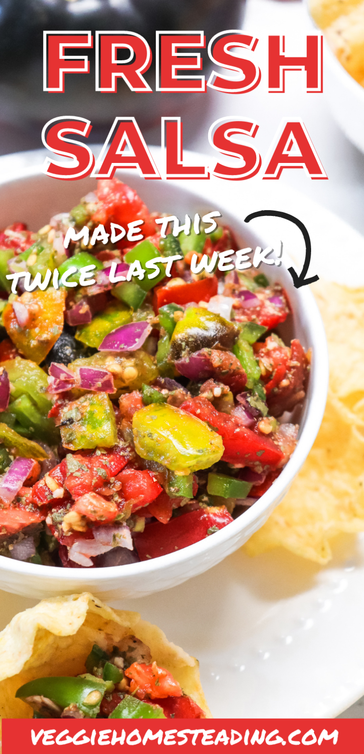 Easy Garden Fresh Salsa Recipe: A Healthy, Flavorful Dip for Every ...