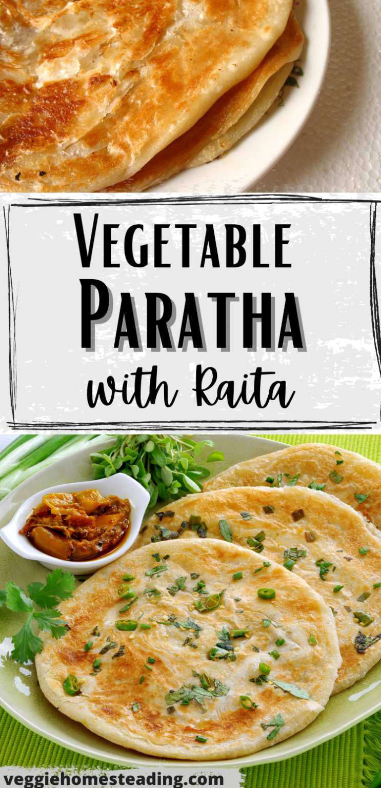 Healthy Vegetable Paratha Recipe – Nutritious & Easy Breakfast Idea