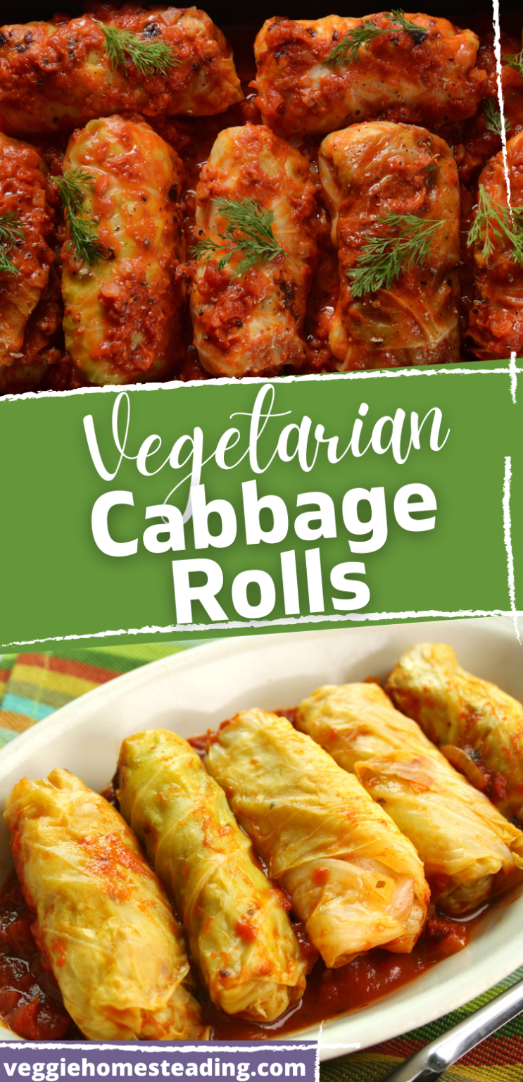 Vegetarian Cabbage Rolls (Vegan-Friendly) - Classic Polish Golumpki