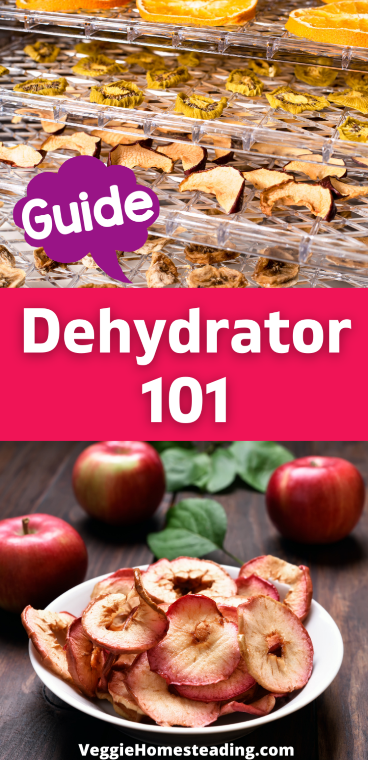 Dehydrating 101: Beginners Guide To Dehydrating - Veggie Homesteading