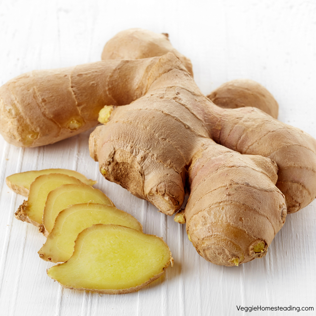 How to Dehydrate Ginger - Veggie Homesteading