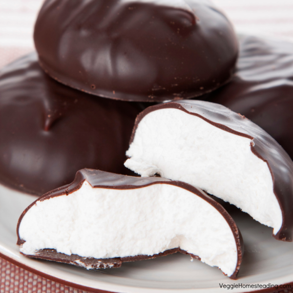 How to Dehydrate Marshmallows & What to do with them - Veggie Homesteading