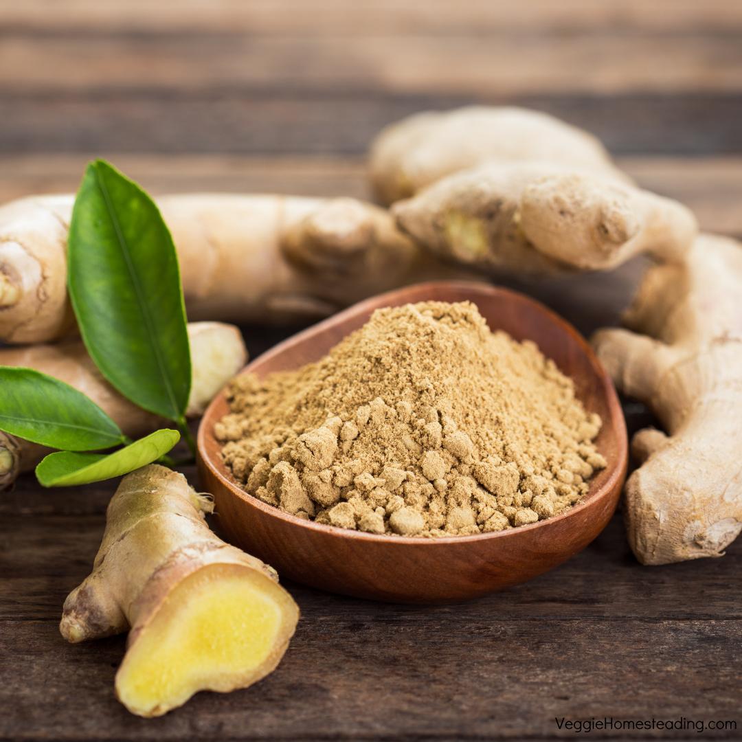 How to Dehydrate Ginger - Veggie Homesteading