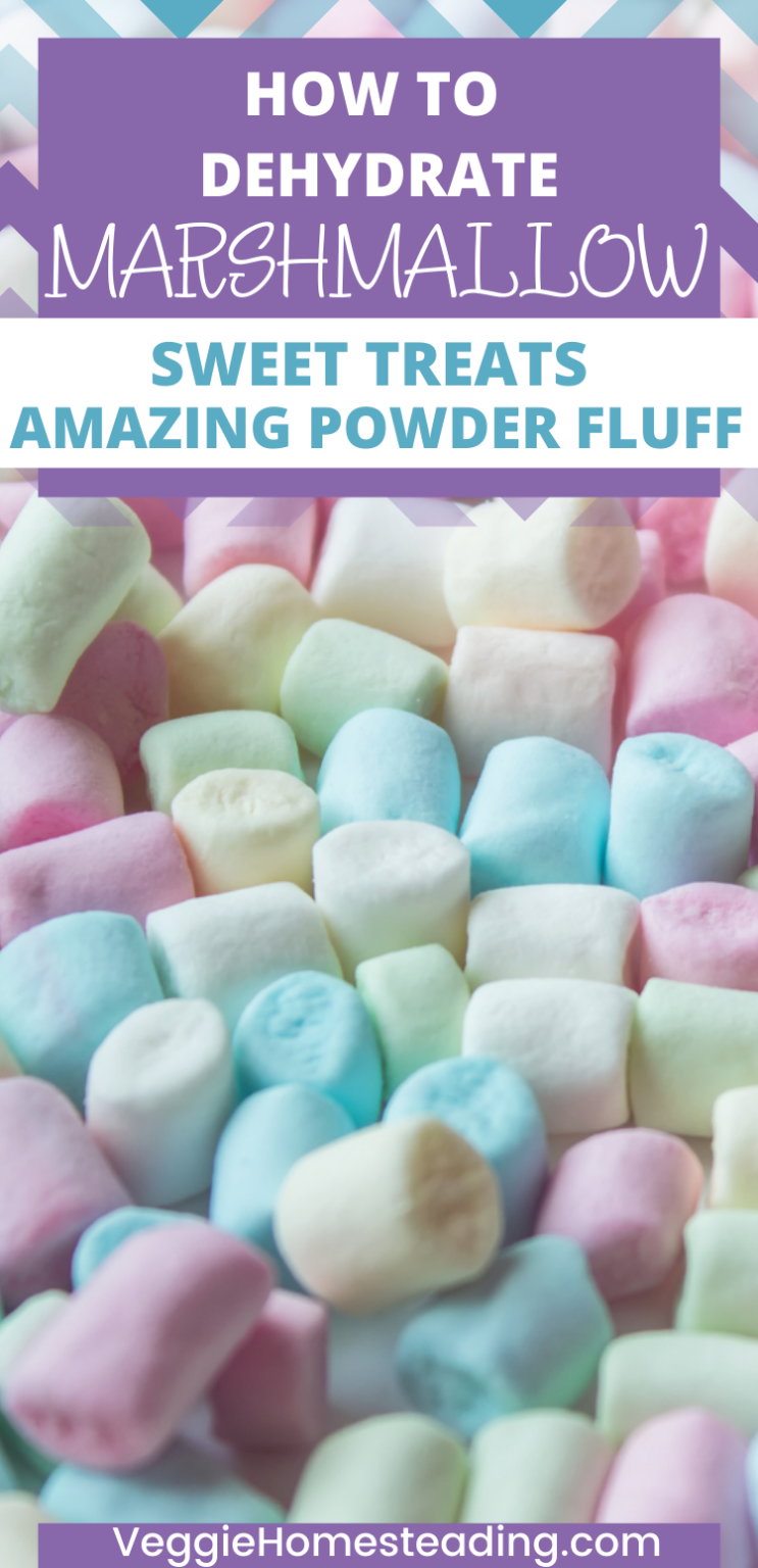 How to Dehydrate Marshmallows & What to do with them - Veggie Homesteading