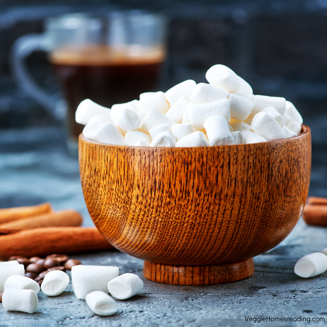 How to Dehydrate Marshmallows & What to do with them - Veggie Homesteading
