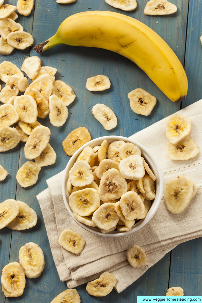 How to Perfectly Dehydrate Bananas - Veggie Homesteading