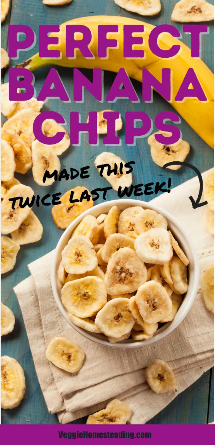 How to Perfectly Dehydrate Bananas - Veggie Homesteading